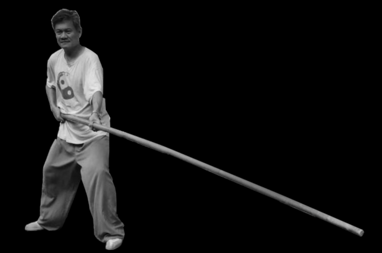 CSL in BW pole | Chen Tai Chi Academy